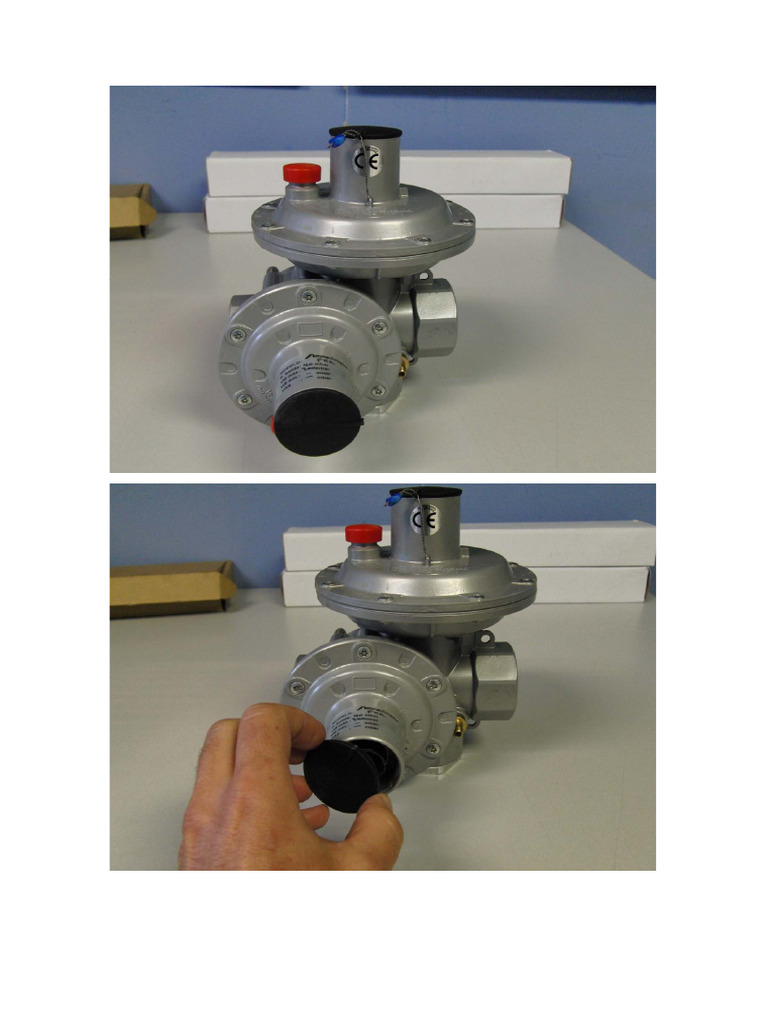 Releasing The FEX Gas Regulator | PDF