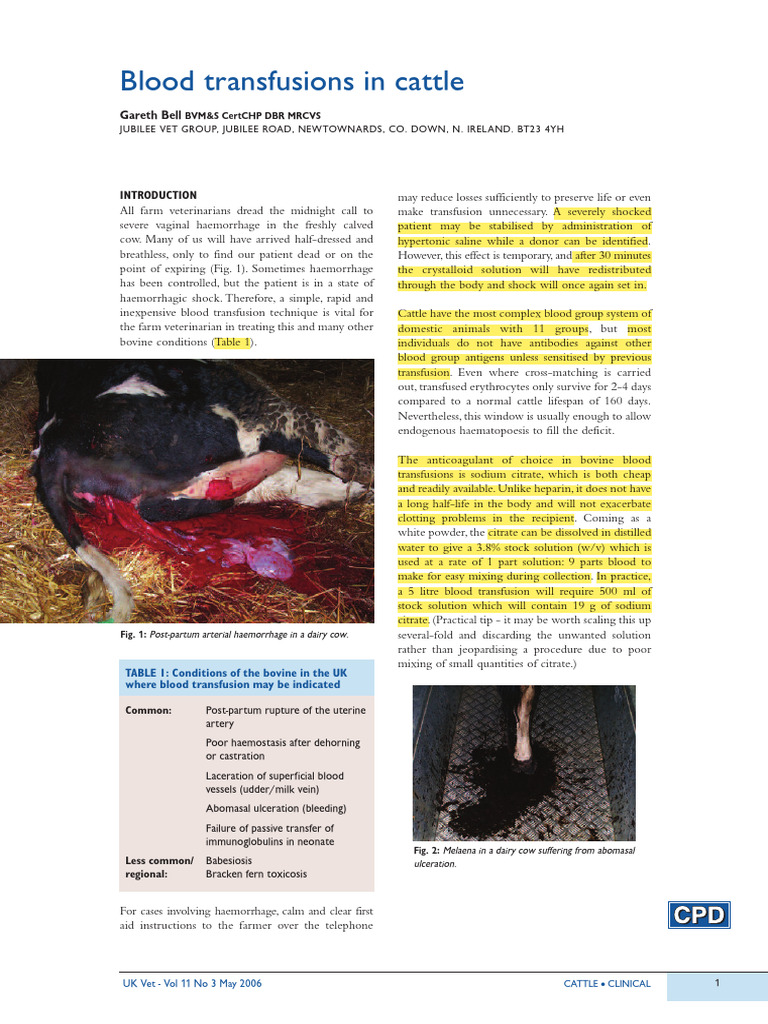 Livestock - 2010 - Bell - Clinical Blood Transfusions in Cattle | PDF ...
