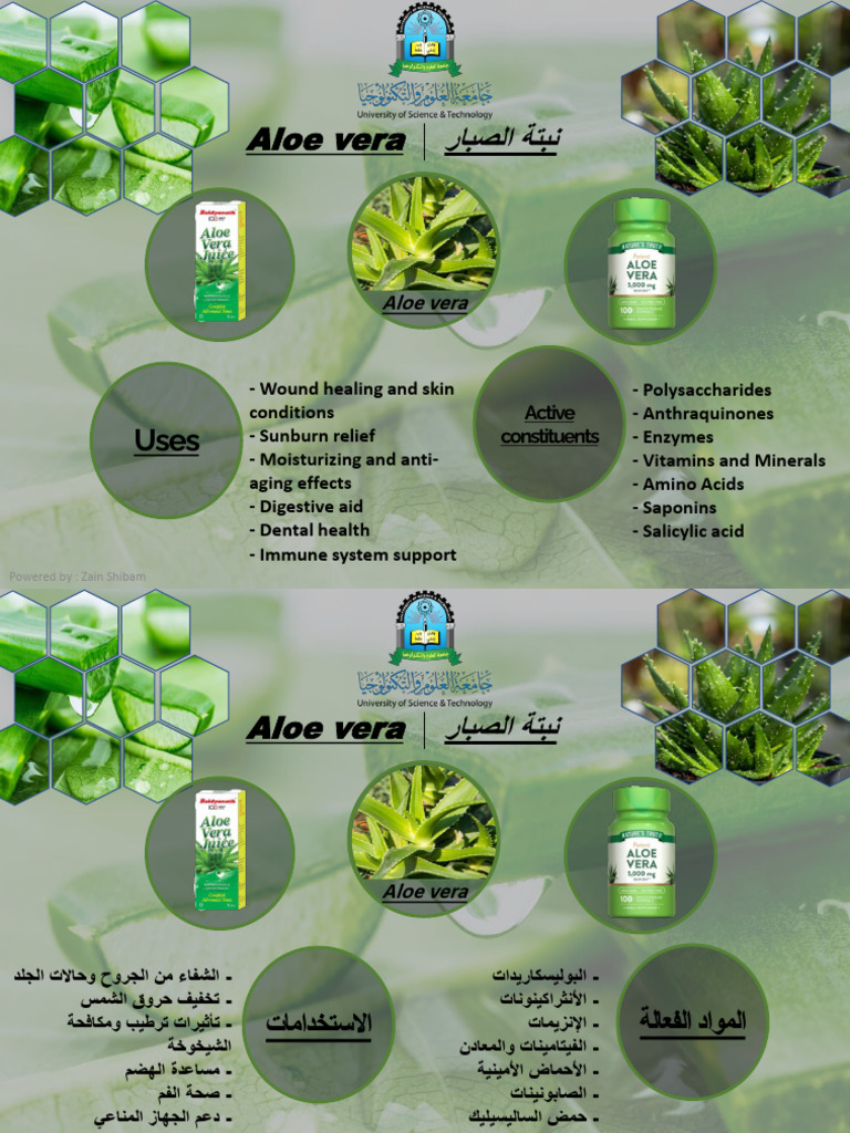 Aloe Vera Card | PDF