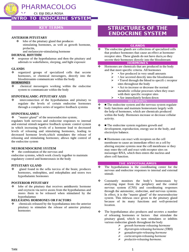 Intro to Endocrine System | PDF | Pituitary Gland | Hypothalamus