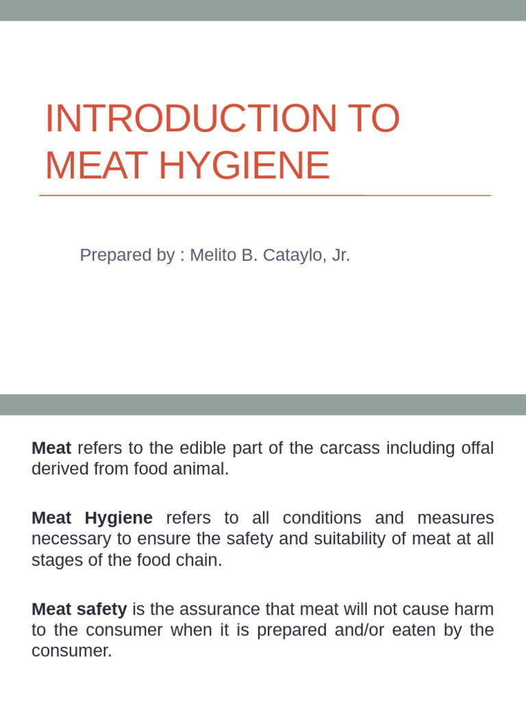 Understanding Meat Hygiene Basics | PDF | Disinfectant | Meat