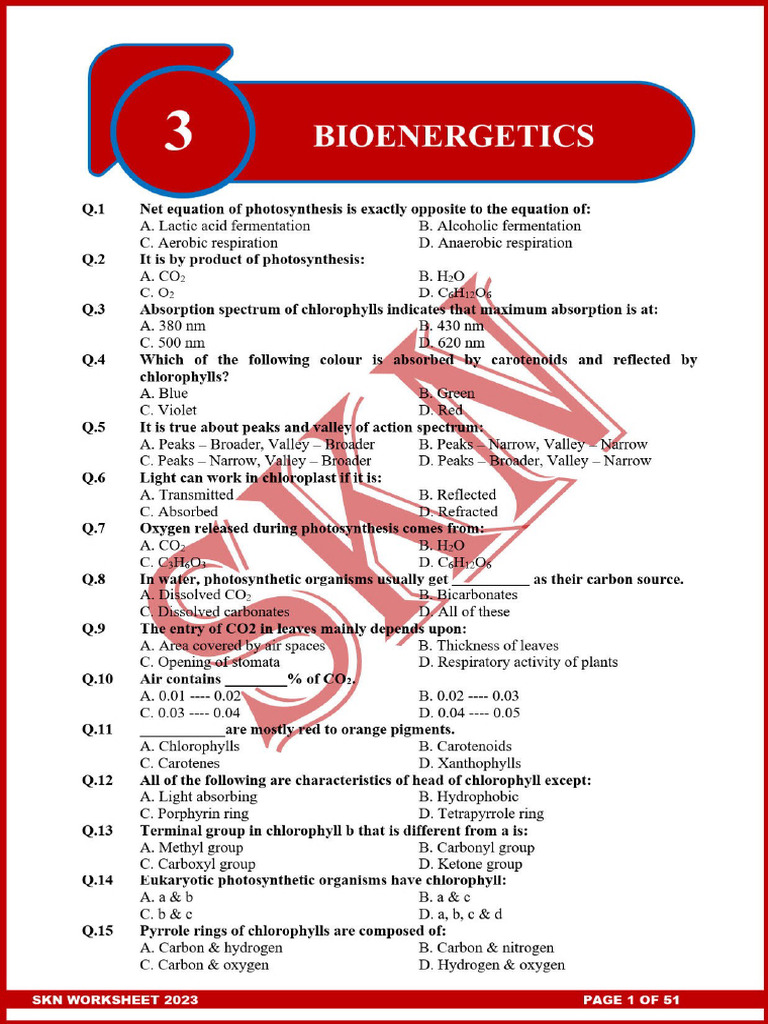 BIOENERGETICS | PDF