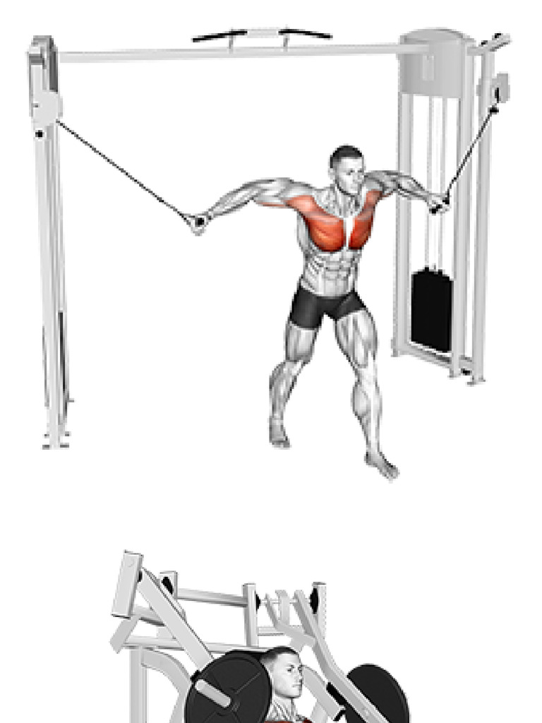 Monday Gym Workout | PDF
