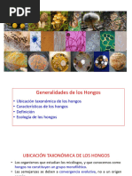 Hongos Descomponedores y su Importancia | PDF | Hongo | Descomposición