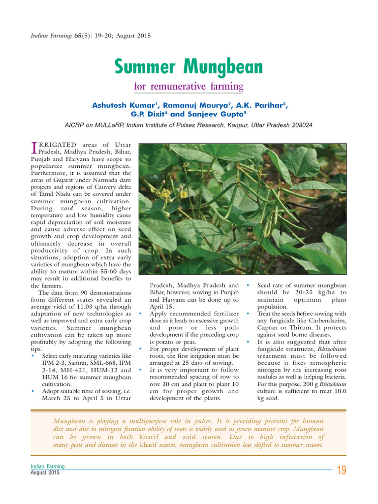 Ojsadmin, 06 Summer Mungbean | PDF | Legume | Agriculture