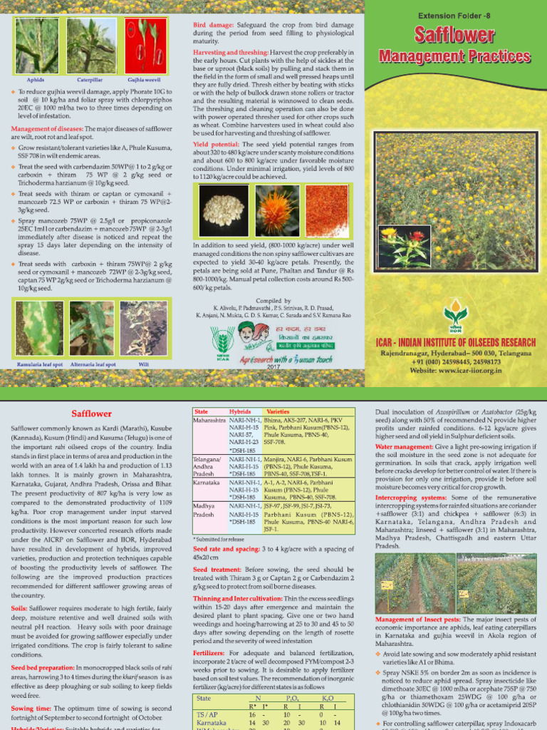 Safflower Folder English | PDF