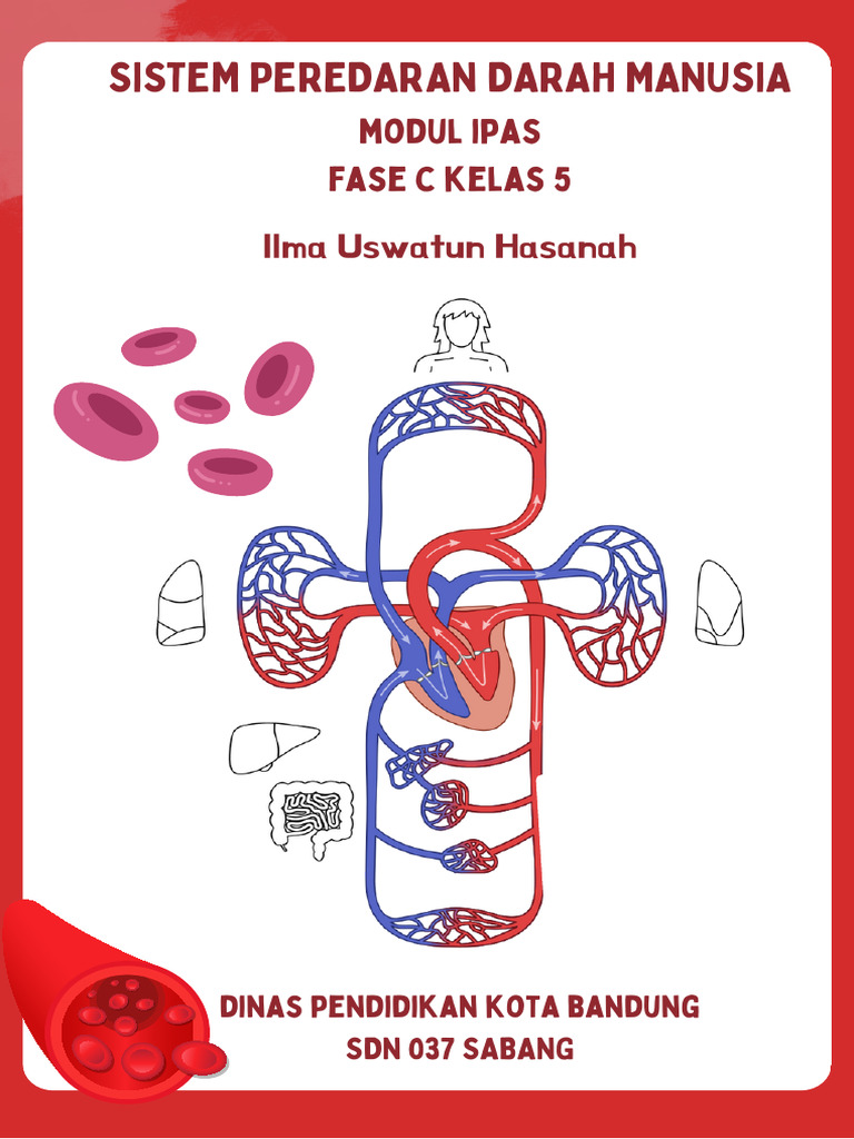 Modul Sistem Peredaran Darah Manusia 2024 | PDF