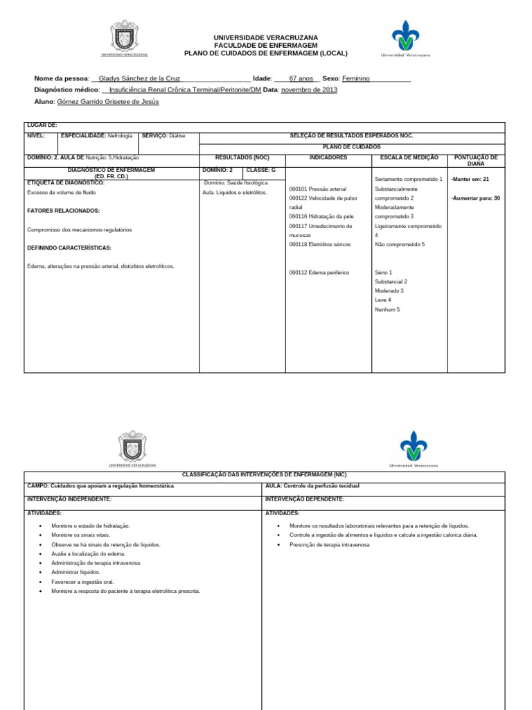 Plano de Cuidados de Enfermagem | PDF | Enfermagem | Medicina Clínica