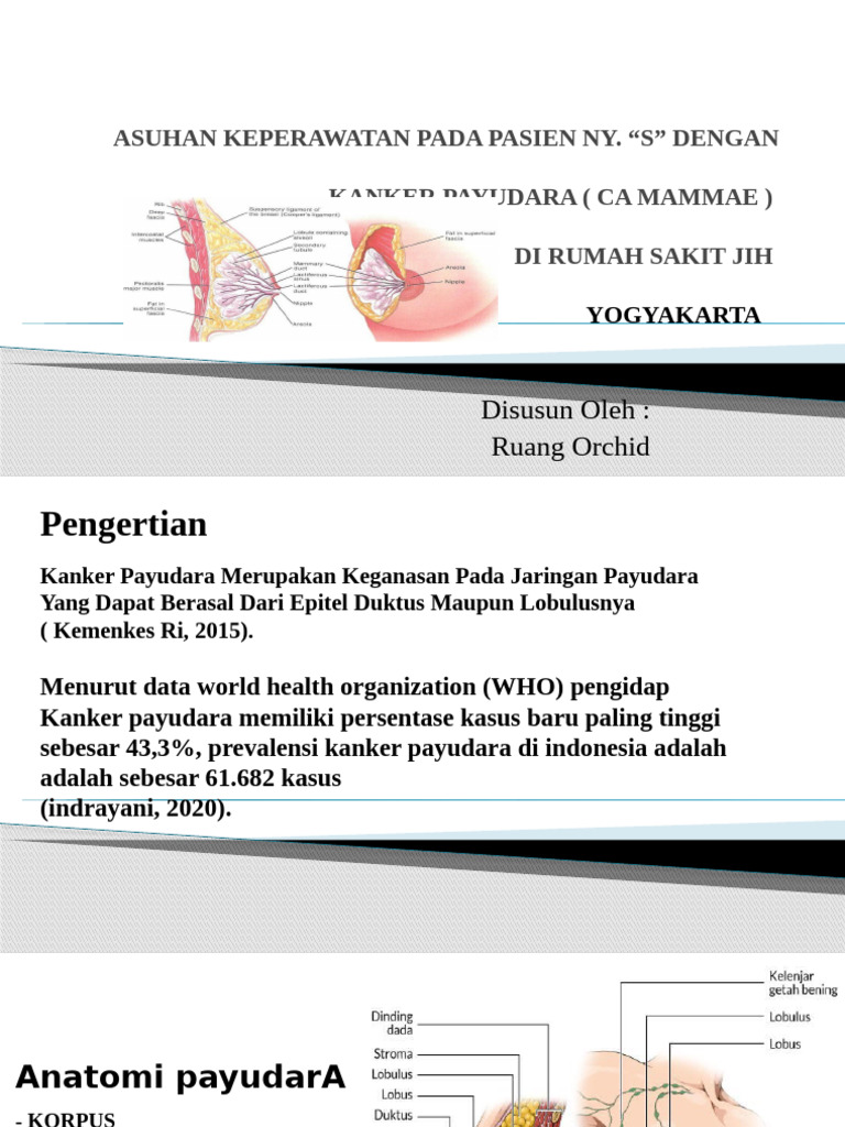 PPT CA MAMAE(4) | PDF