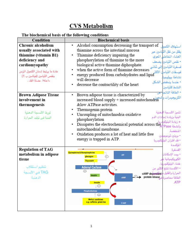CVS Module Biochemistry Aspects 23-24 (1) | PDF