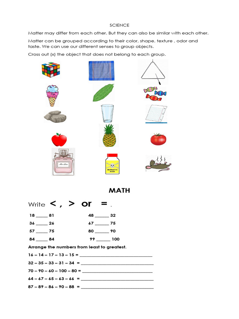 SSES - Activities | PDF