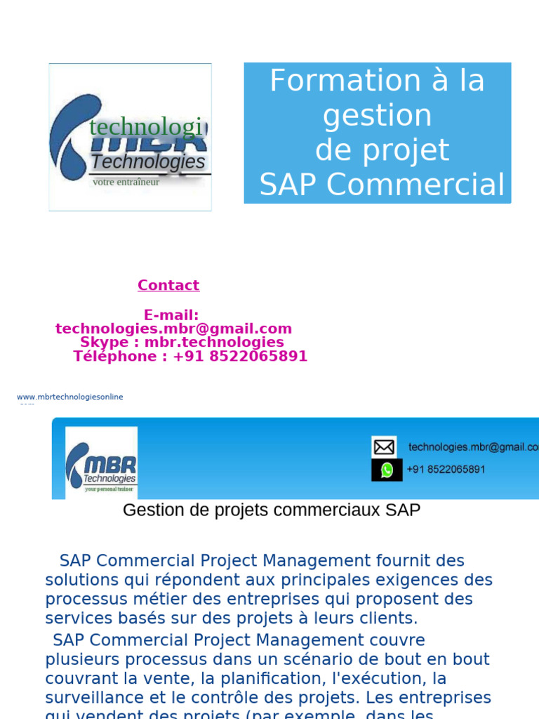 Gestion Commerciale de Projets SAP | PDF | Planification | Gestion de ...