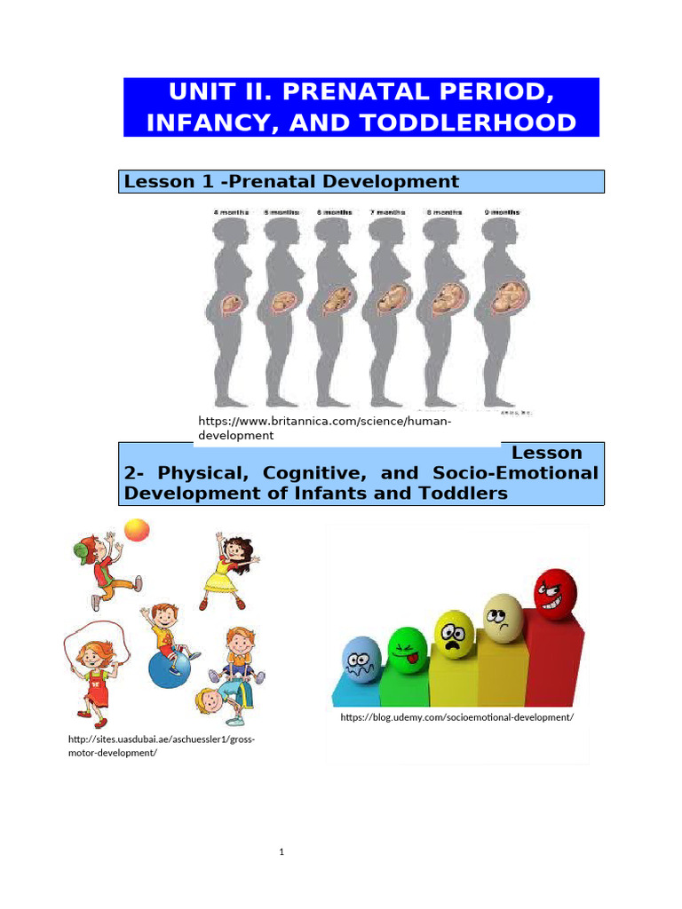 Educ203 Unit II Prenatal Development | PDF | Pregnancy | Prenatal Development