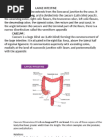 Anatomy of Appendix and Colon Explained | PDF | Large Intestine | Anatomy