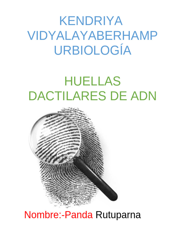 Proyecto de Huellas Dactilares de ADN | PDF | Perfiles de ADN | Adn