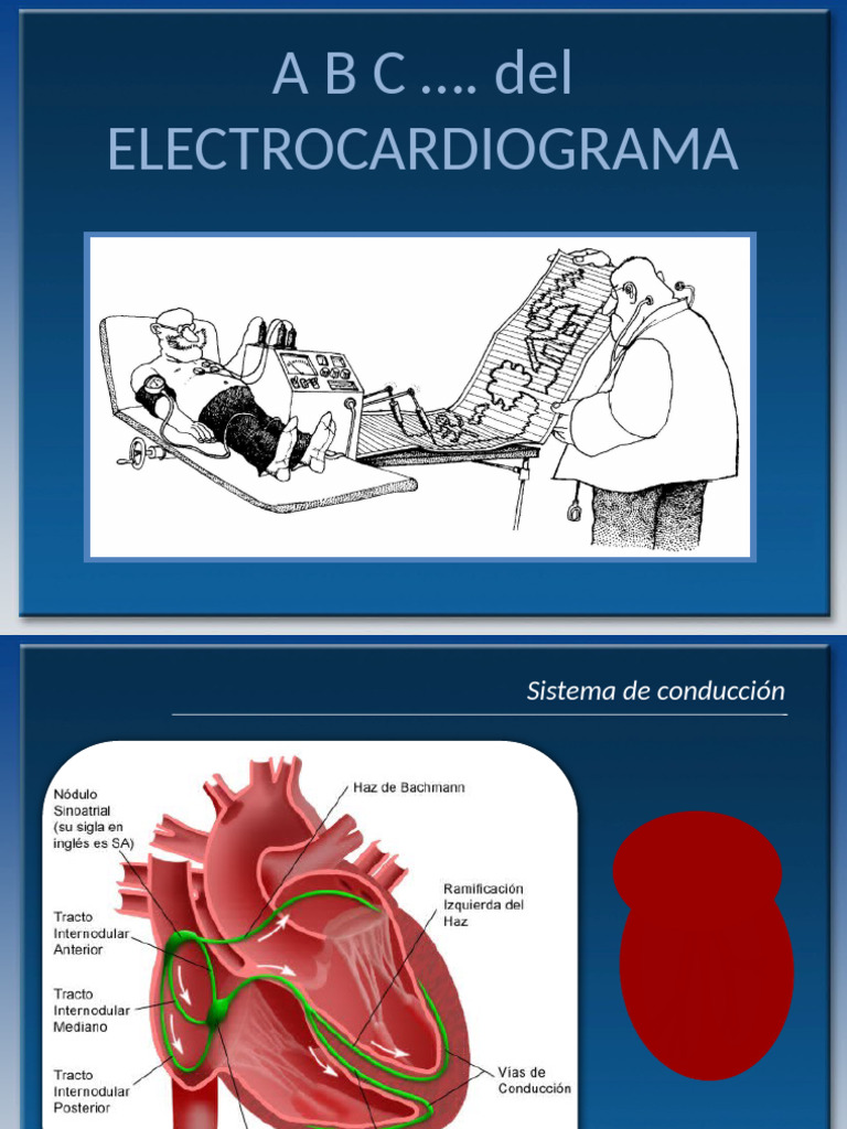 Abc Del Ecg | PDF | Corazón | Oscilación