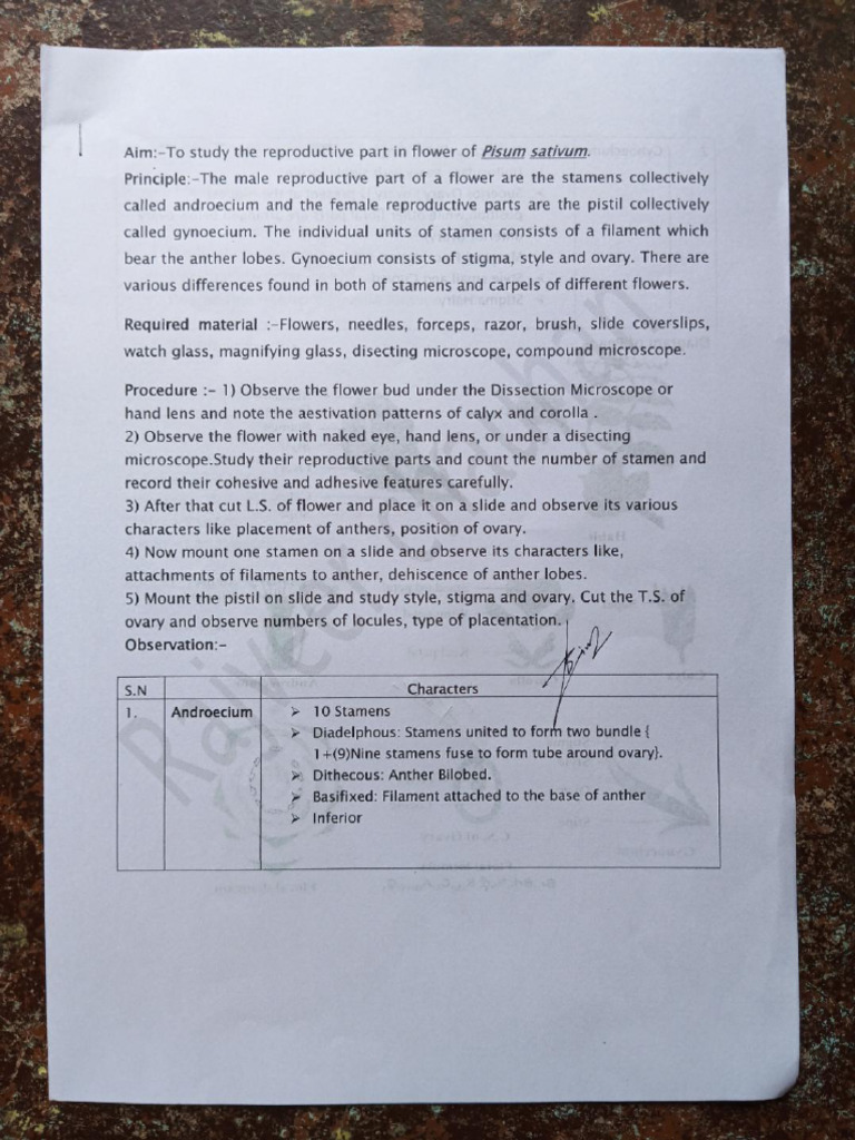 Bio Practical Work | PDF