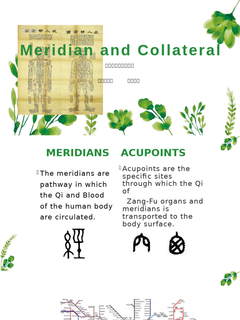A Brief Introduction of Meridian&Acupoint | PDF | Meridian (Chinese ...