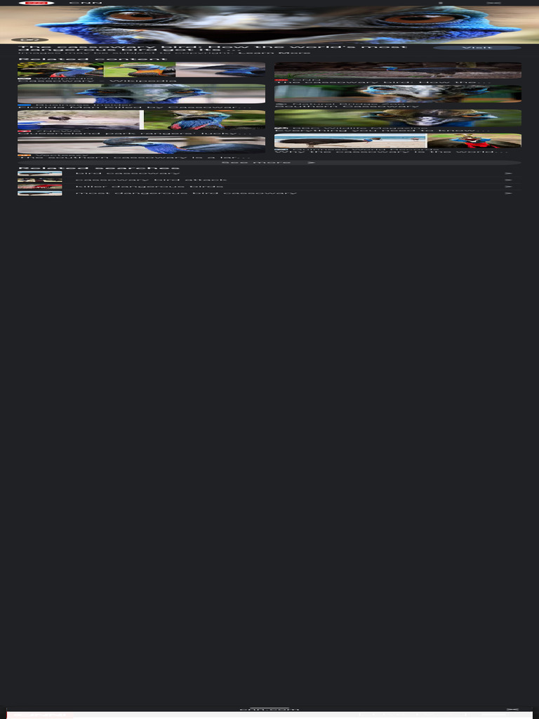 Bird - Google Search | PDF