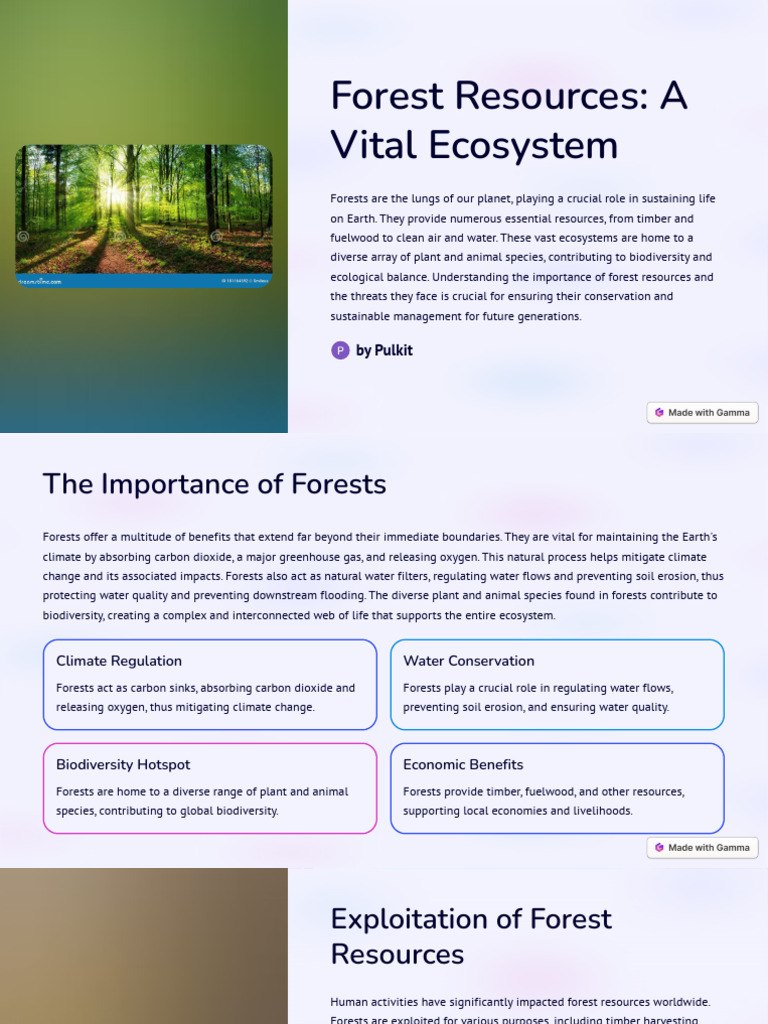 Importance of Forests and Conservation | PDF | Deforestation | Forest ...