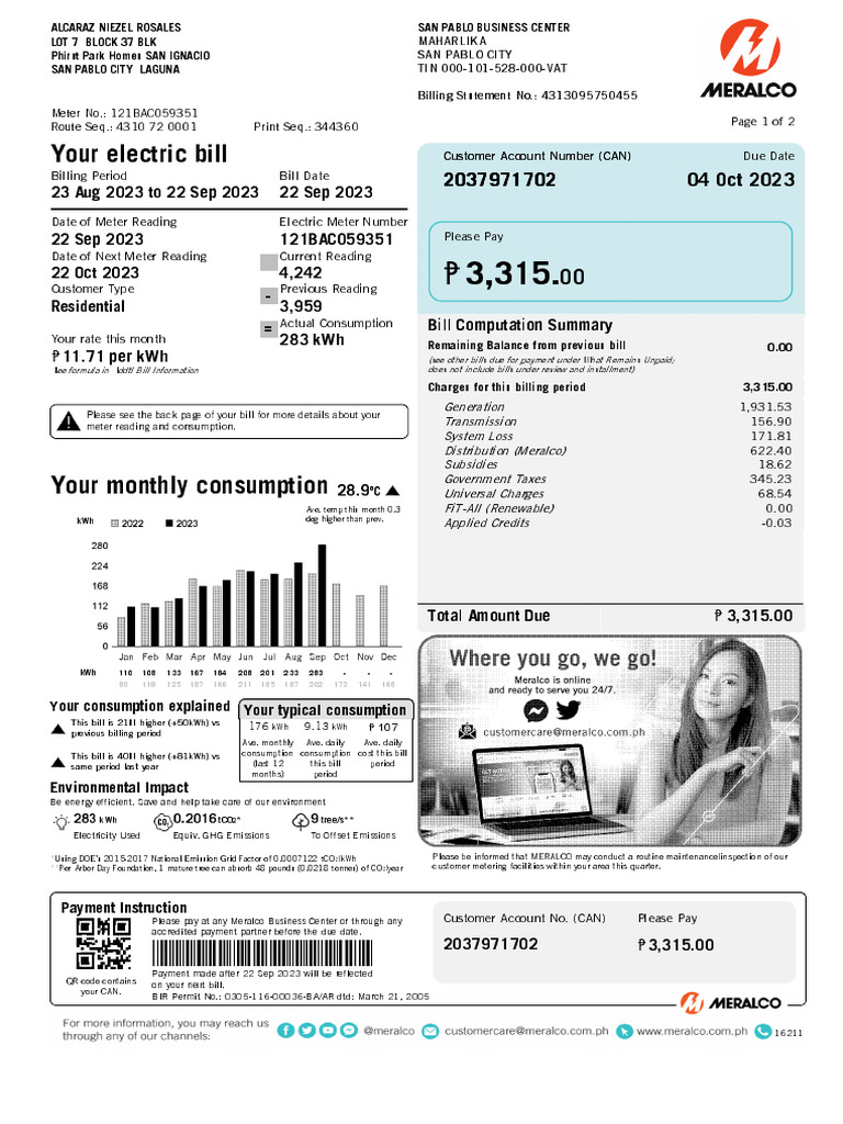 Monthly Electric Bill Summary | PDF | Value Added Tax | Banks