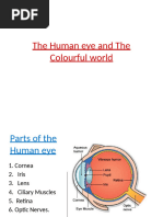 Class10 Human Eye Notes | PDF | Eye | Human Eye