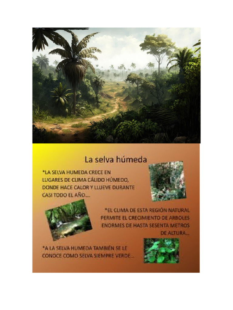 foto selva humeda | PDF