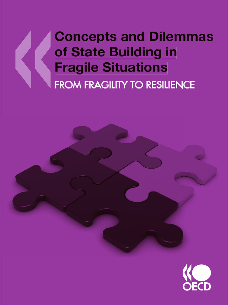 Fragility State | PDF | Governance | Psychological Resilience