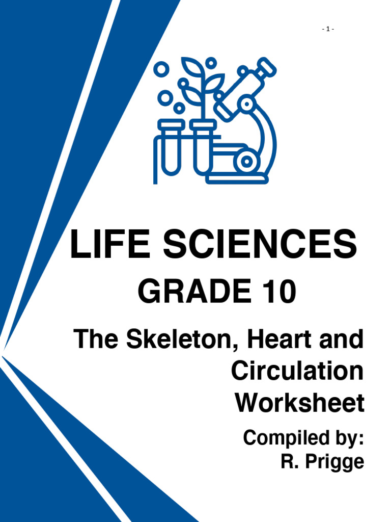 Life Sciences GR 10 Worksheet | PDF | Artery | Heart