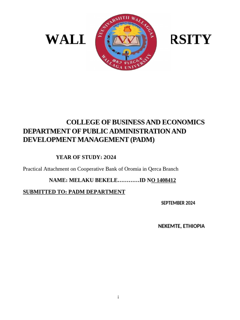 practical attachment | PDF | Debits And Credits | Payroll