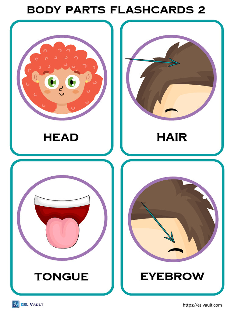 Body Parts Flashcards 2 | PDF