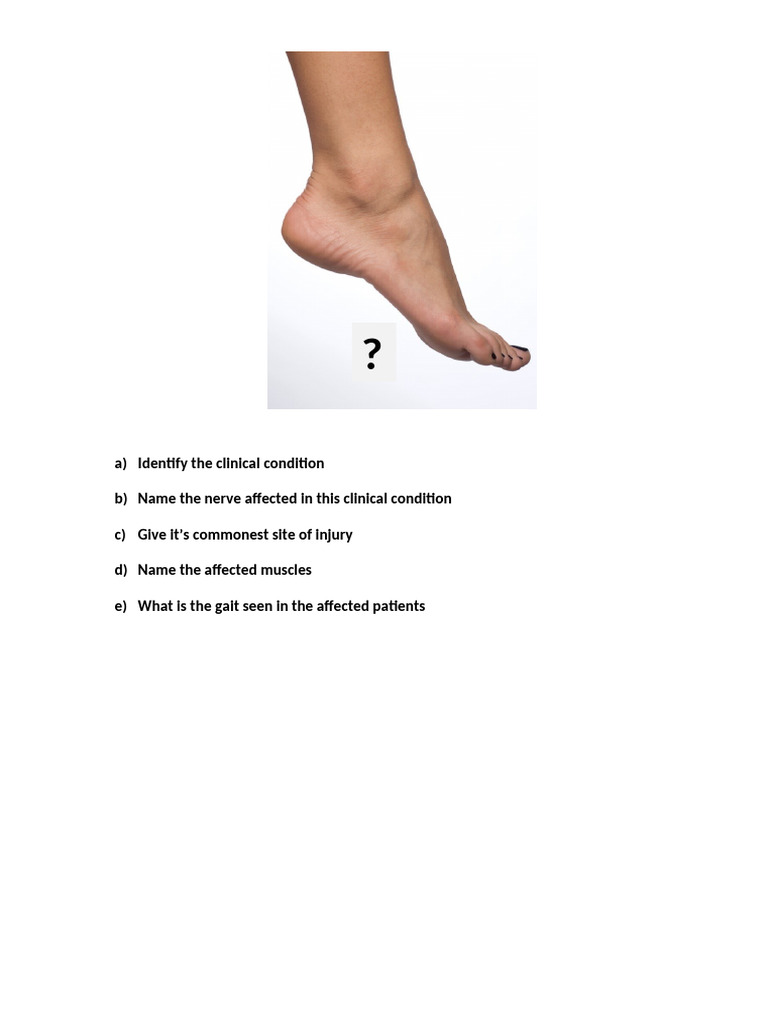 Lower Limb Clinical Charts 1 | PDF
