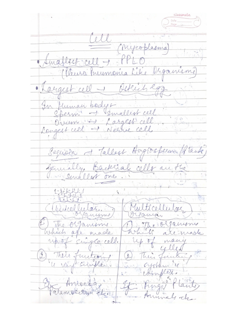 CH Cell | PDF