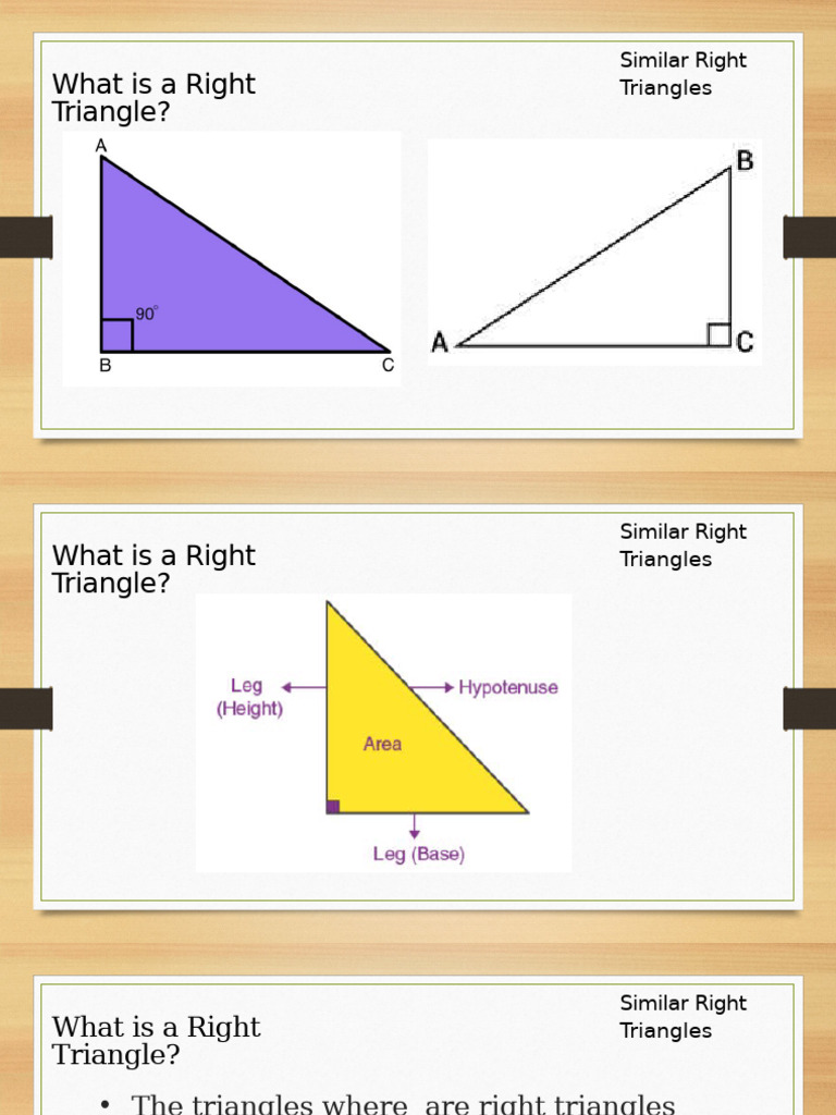 Understanding Similar Right Triangles | PDF | Geometry | Geometric Shapes