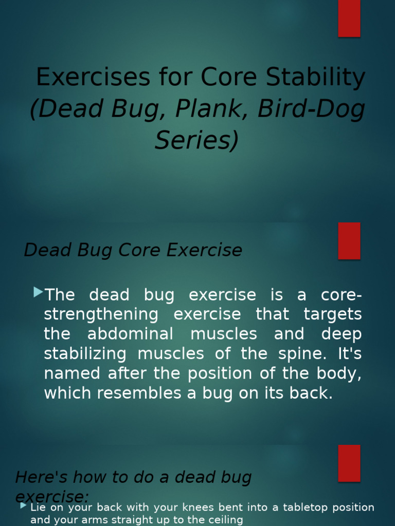 Exercises For Core Stability | PDF | Musculoskeletal System