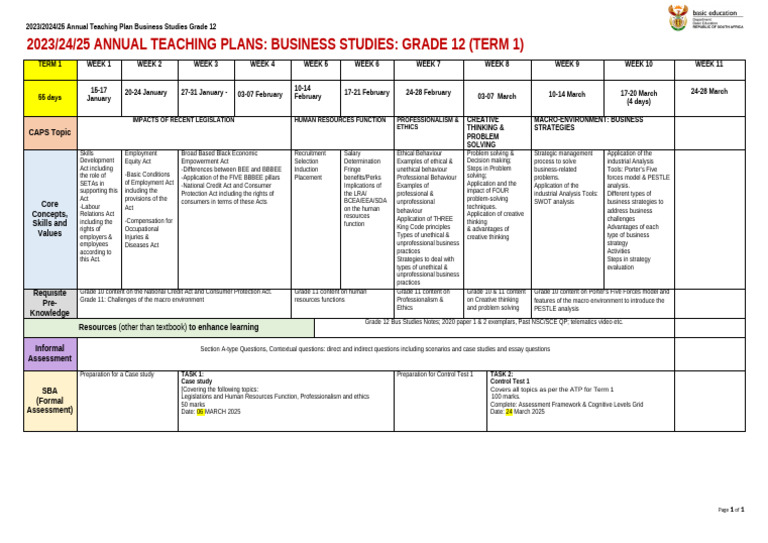 2025 BSTD Gr12 Ratp Term 1 | PDF | Creativity | Strategic Management