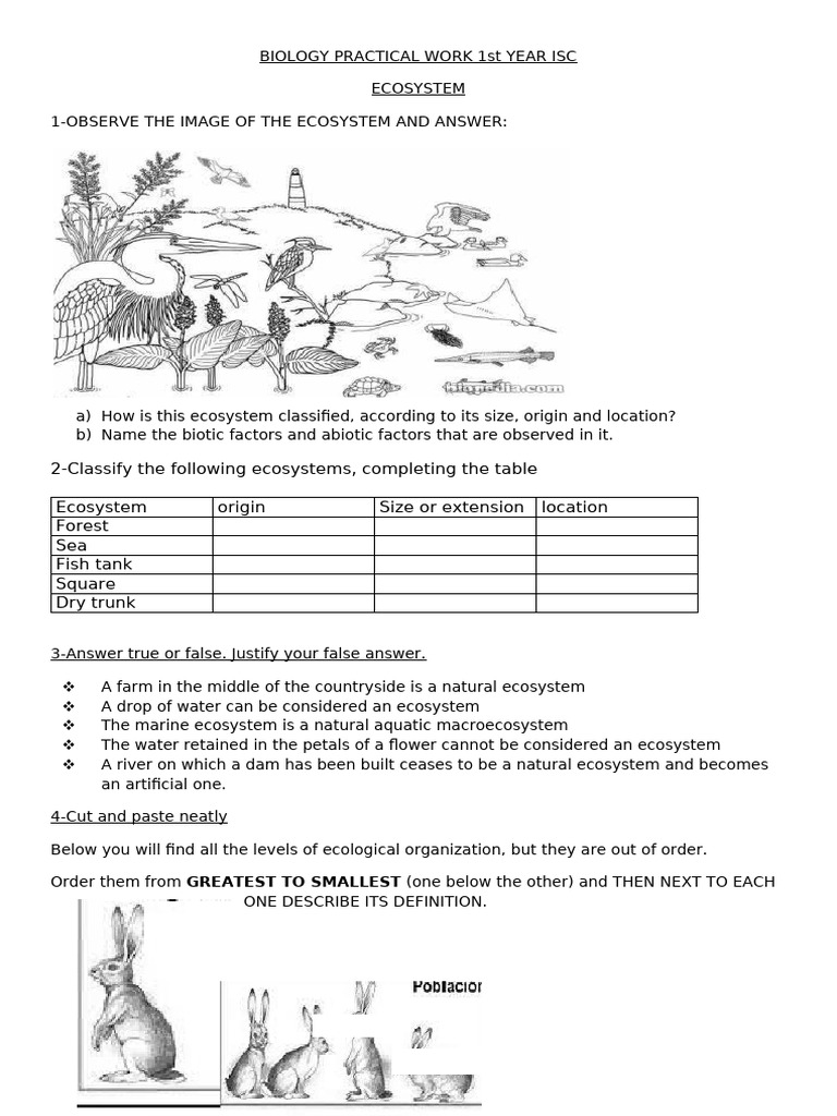 Ecosystem Classification and Analysis Guide | PDF