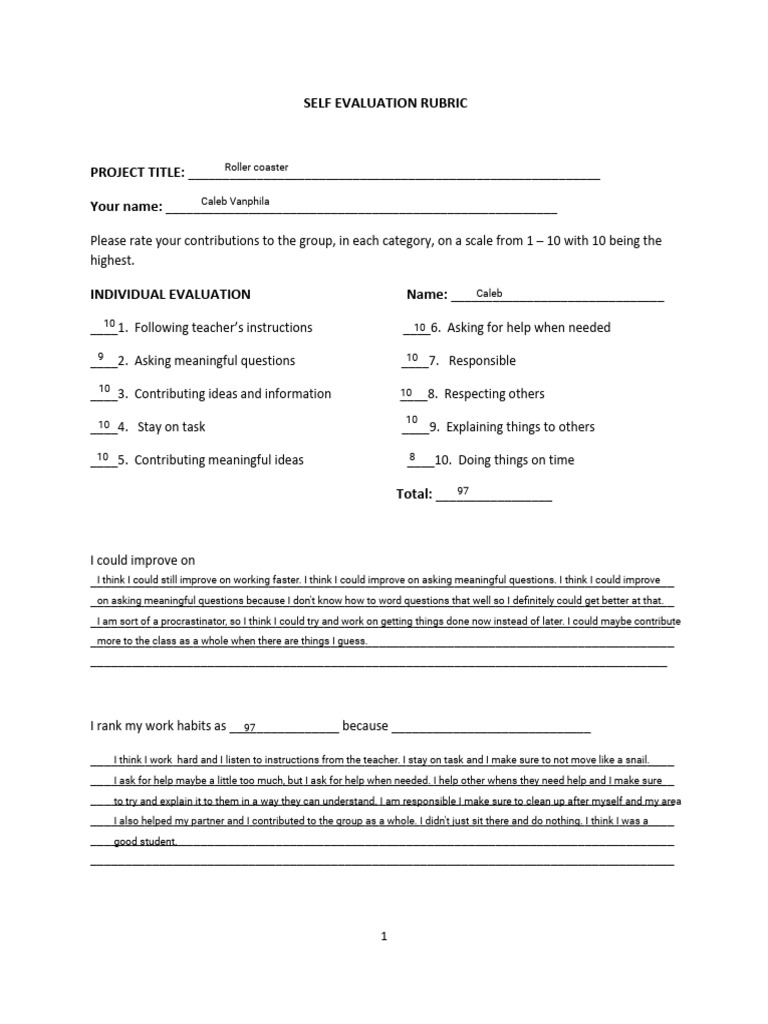 Self Evaluation Rubric for Group Projects | PDF | Cognition | Behavior ...