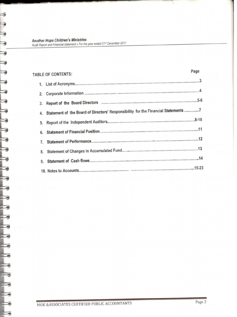 2017 Audit Report | PDF