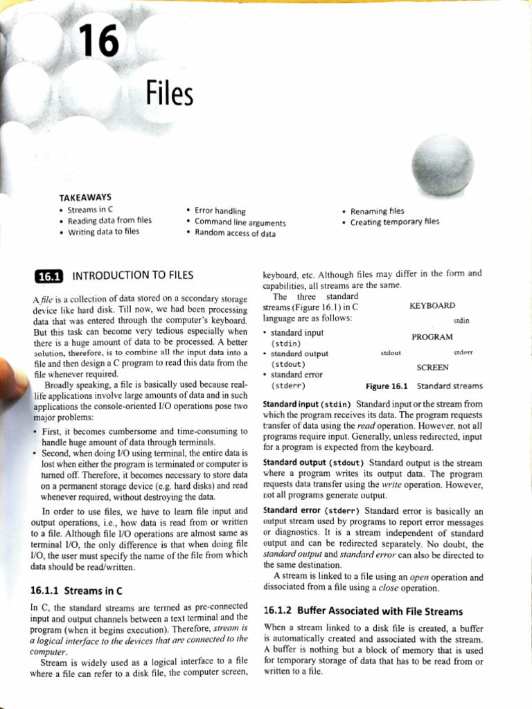 Bpops103 Module 5 Files Textbook | PDF | Computer File | Input/Output