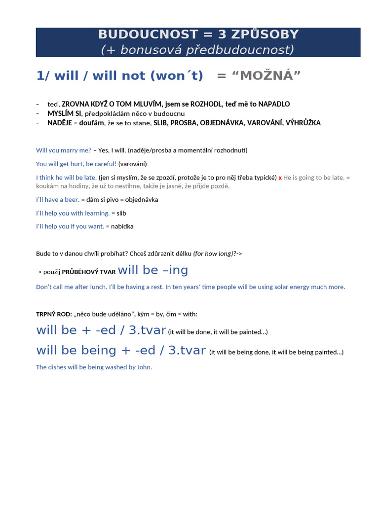 Future (CZ X En) | PDF