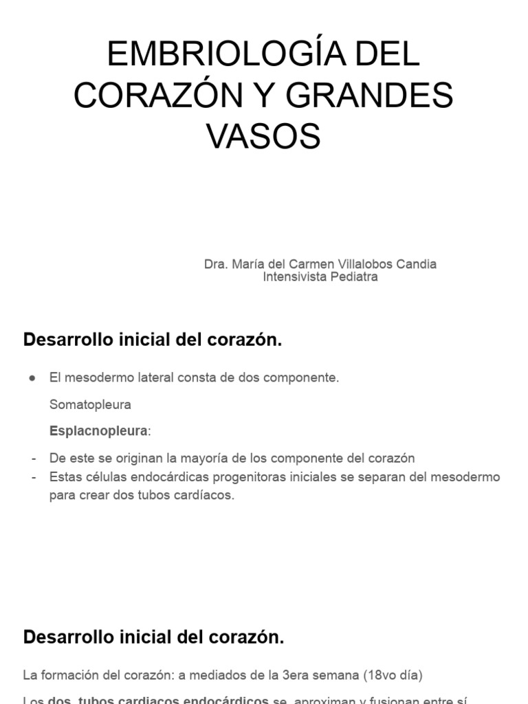 EMBRIOLOGÍA DEL CORAZÓN Y LOS GRANDES VASOS OT 24-1 | PDF | Corazón | Aorta