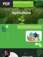 Plan Maroc Vert : Enjeux et Perspectives | PDF | Maroc | Agriculture