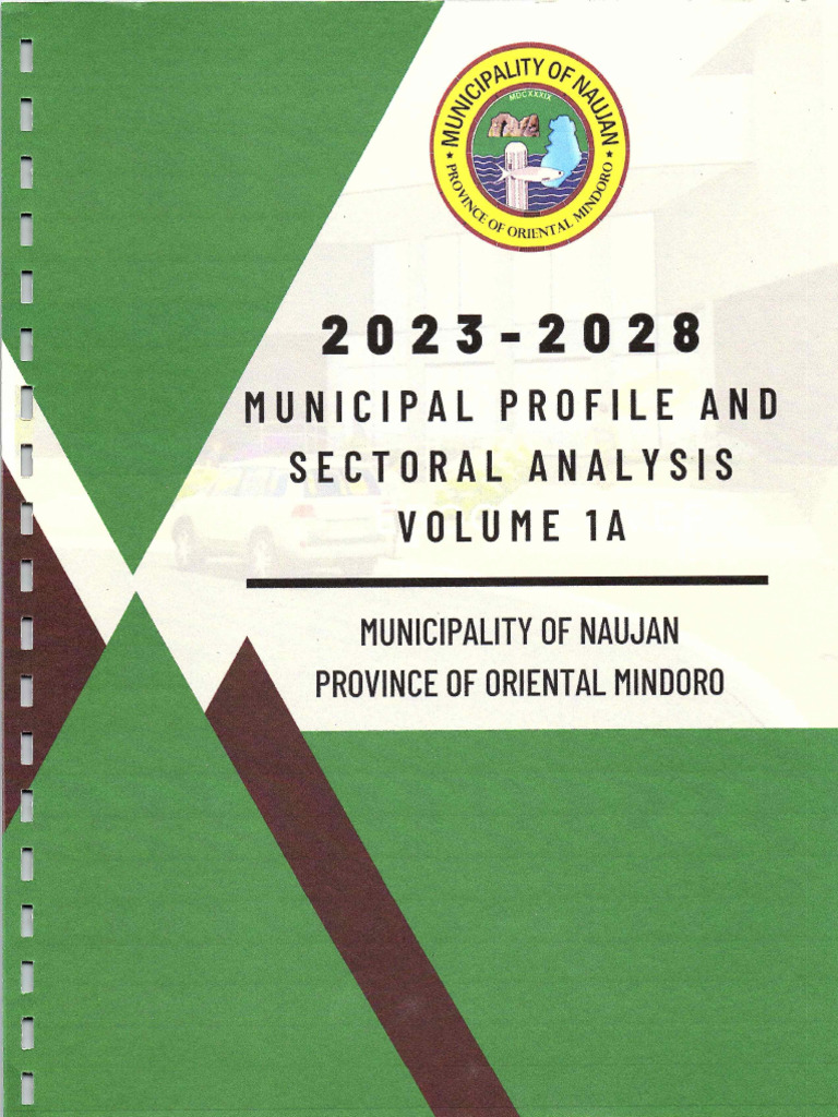 Municipal Profile and Sectoral Analysis Volume 1A | PDF