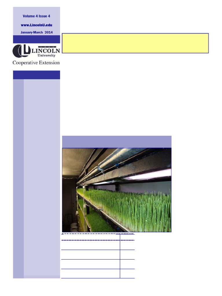 Hydroponic Fodder Production Guide | PDF | Fodder | Seed
