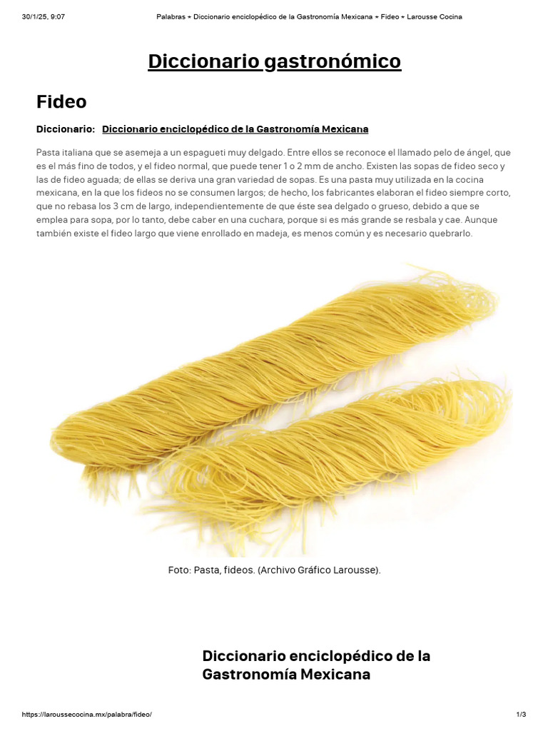 Palabras Diccionario Enciclopédico de La Gastronomía Mexicana Fideo Larousse Cocina | PDF ...
