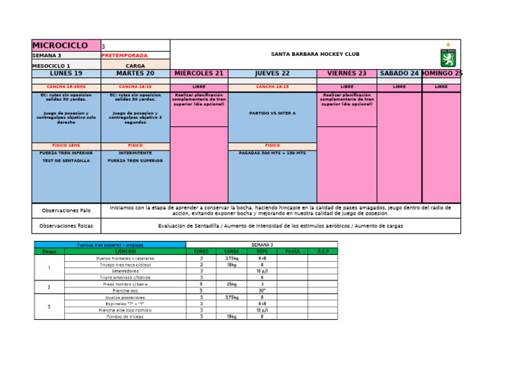 Temporada 2024 - Semana 4 - Meso 1 | PDF