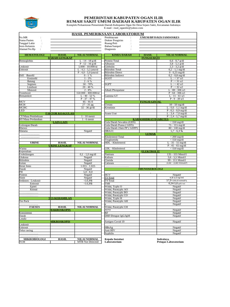 Hasil Pemeriksaan Laboratorium RSUD Ogan Ilir | PDF