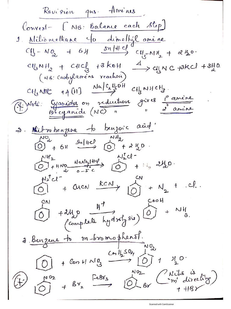 Revision Qns Amines | PDF