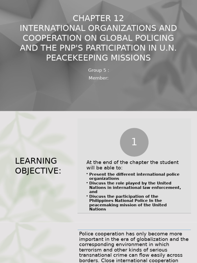 Chapter 12 Group 5 Lea 2 | PDF | United Nations | International Relations